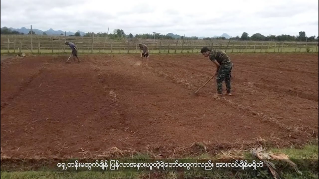 စစ်ရေးအပြင် ဝမ်းရေးအတွက်ပါ တော်လှန်နေရသူများ နိုင်ငံတကာမြန်မာ့သတင်း