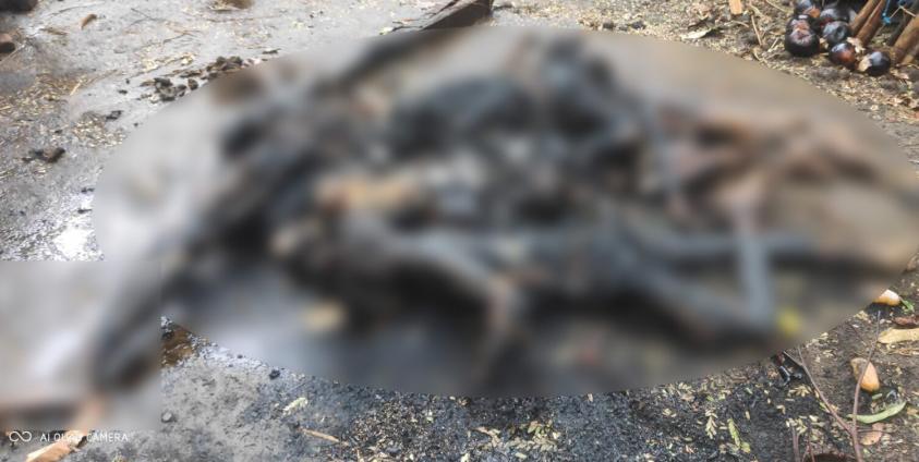 Military Council Troops Massacre 18 civilians, Including women and children in Nyaung Pin Thar ...