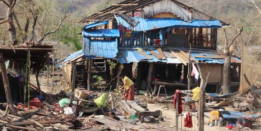 Cyclone’s widespread destruction of trees will lead to rising ...