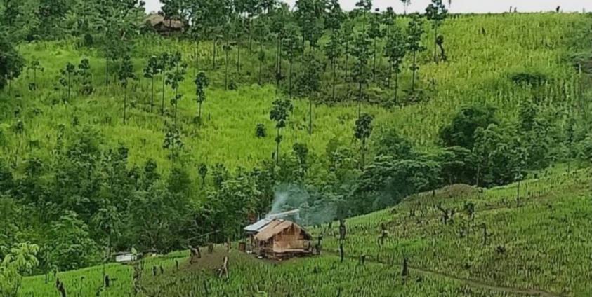 Burma Army Uses Farmers As Human Shields In Pekon Township | Burma News ...