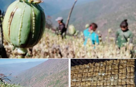 Chinland Council Forms Coordination Team to Rally All Chin Groups ...